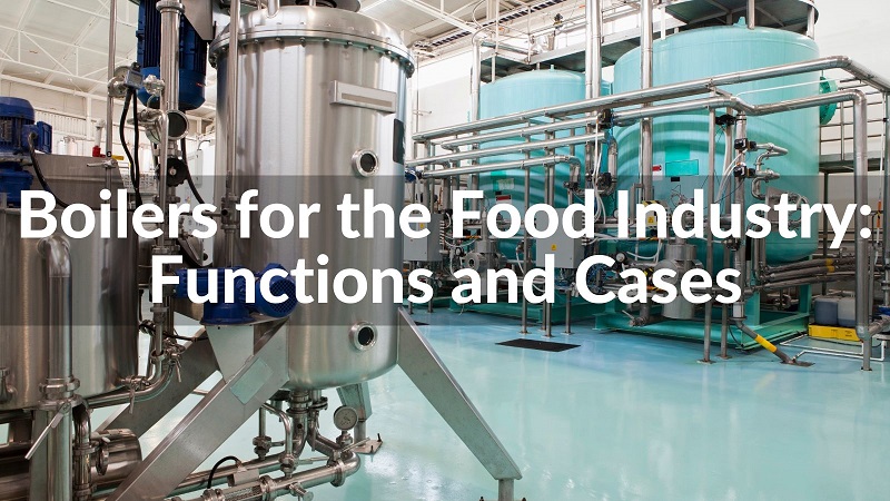Boilers for the Food Industry: Functions and Cases - CN Boiler